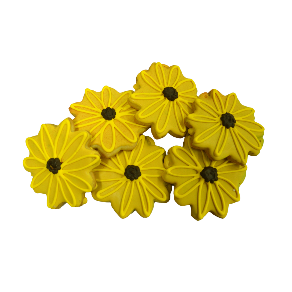 Iced Cookies - ABC Cake Shop & Bakery